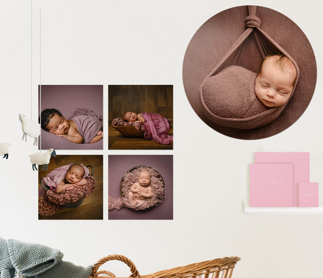 Newborn Premium Sample Pack | Save over £400 | Loxley Colour